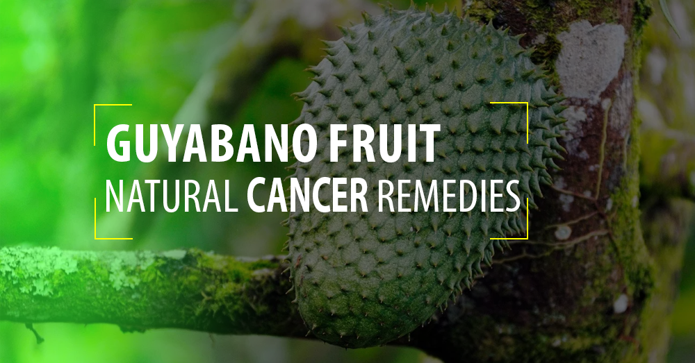 Guyabano Health Benefits